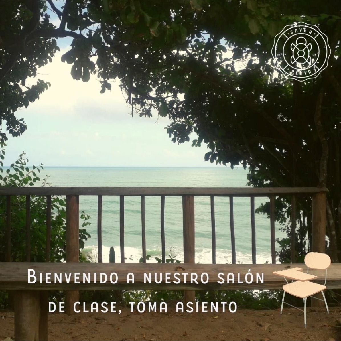 Vienvenido a Nuestro Salon de Clase. - Desodorante Natural Save A Playa